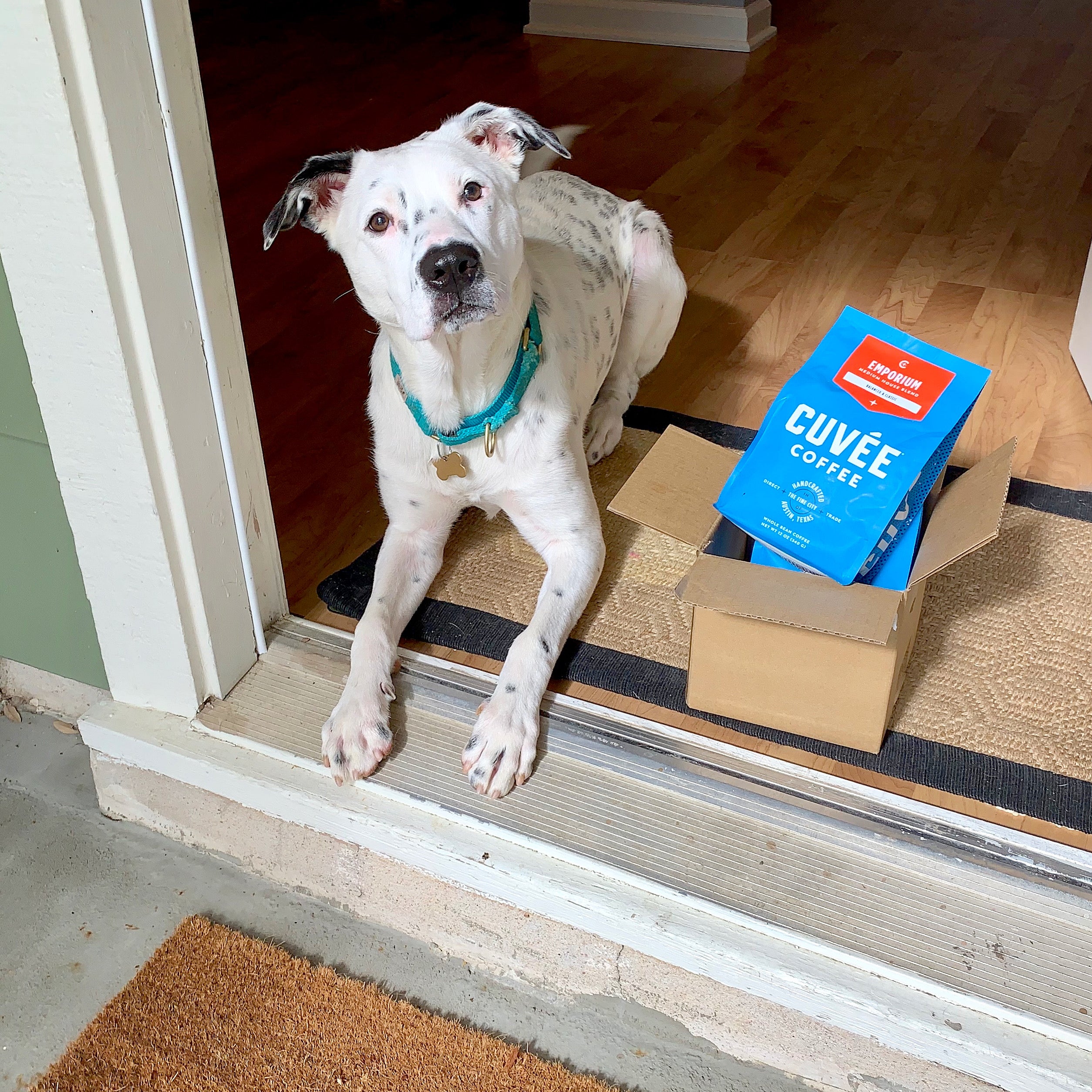 Cuvée Coffee: Always Something Brewing. Austin, TX